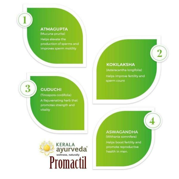 Kerala Ayurveda Promactil Capsule 10 Nos (Pack of 10) - JioMart