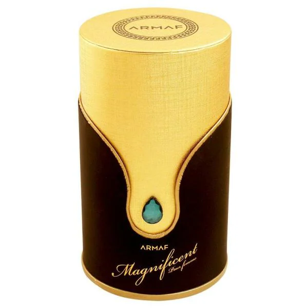 Armaf Magnificent Gold Eau De Parfum for Men 100 ml - JioMart