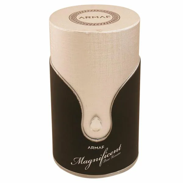 Armaf Magnificent Eau De Parfum for Men 100 ml - JioMart