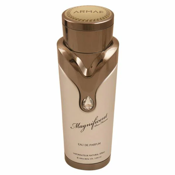 Armaf Magnificent Eau De Parfum for Men 100 ml - JioMart