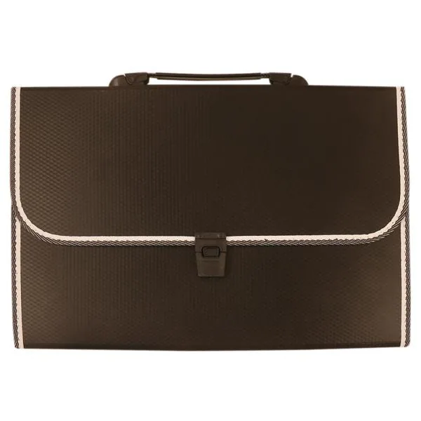 Quick Work Expanding File Folder 13 Pockets (Black) - JioMart