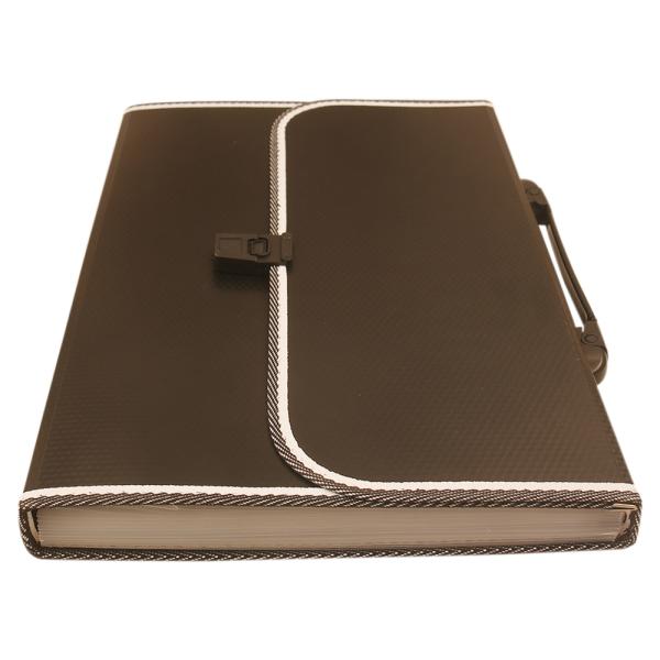 Quick Work Expanding File Folder 13 Pockets (Black) - JioMart