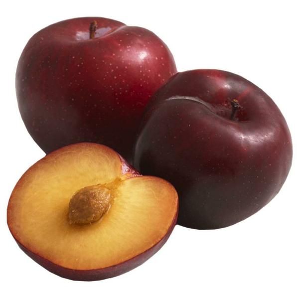 Plum Imported per kg - JioMart