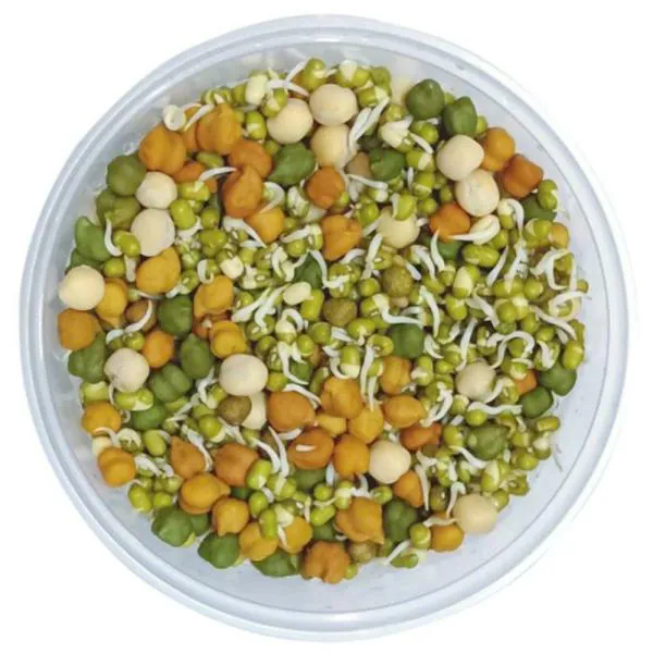 Sprouts Mixed 1 Pack (Approx 200 g - 250 g) - JioMart