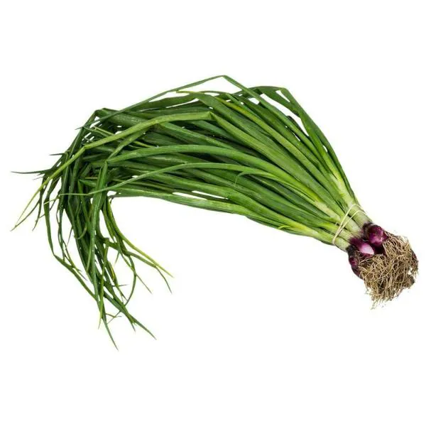 Spring Onion 1 bunch (Approx 100 g - 250 g) - JioMart