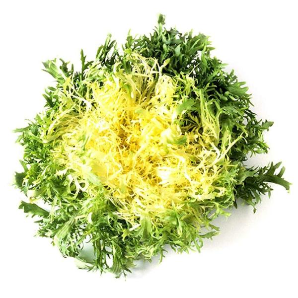 Frisee Lettuce Yellow (Approx 225 g - 300 g) - JioMart