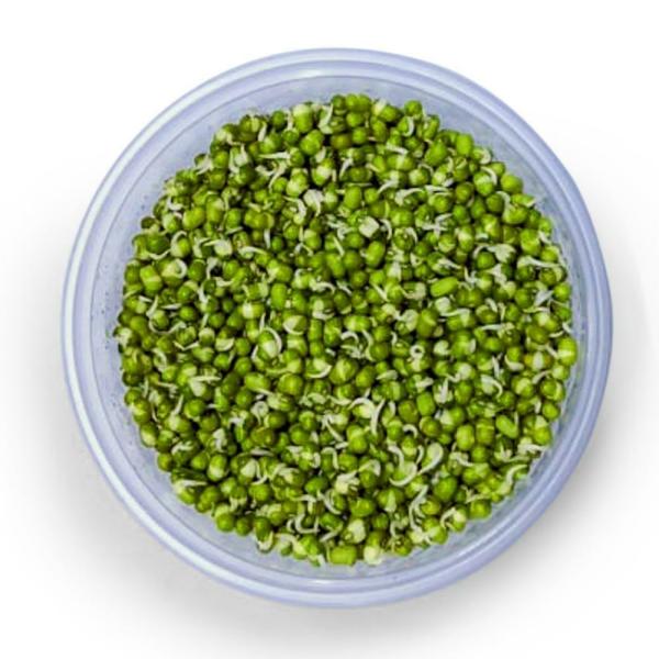 Sprout Green 150 g - JioMart