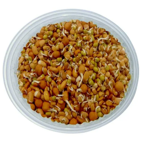 Sprouts Mix (Pack) - JioMart