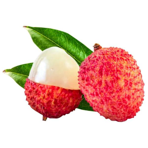 Indian Litchi (Pack) (Approx 450 g - 500 g) - JioMart