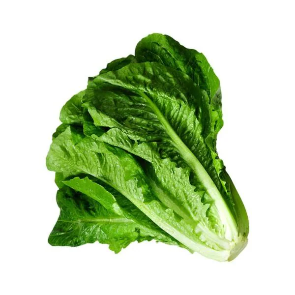 Lettuce Leafy 250 g (Approx 160 g - 300 g) - JioMart