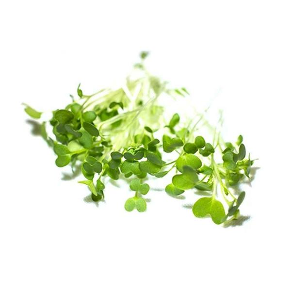 Microgreens Spicy Mix 50 g (Pack) - JioMart