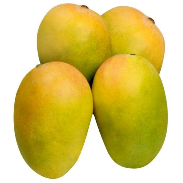 Mango Kesar 4 pcs Box (Approx 800 g-1200 g) - JioMart