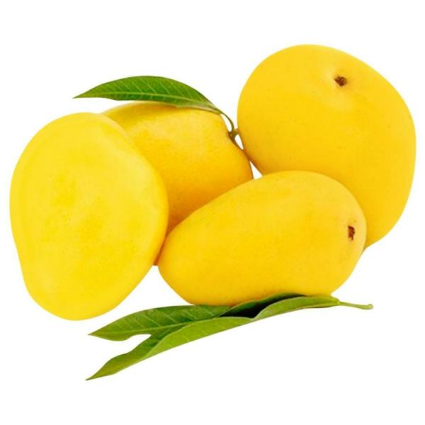 Mango Badami 4 pcs (Approx 1200 g-1400 g) - JioMart