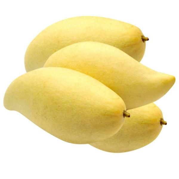 Mango Totapuri 4 pcs (Approx 1200 g-1400 g) - JioMart