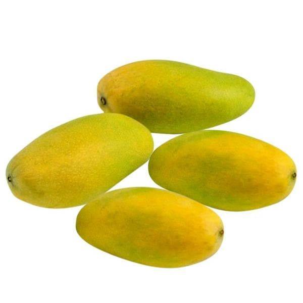 Mango Dussheri 4 pcs (Approx 800 g - 1000 g) - JioMart