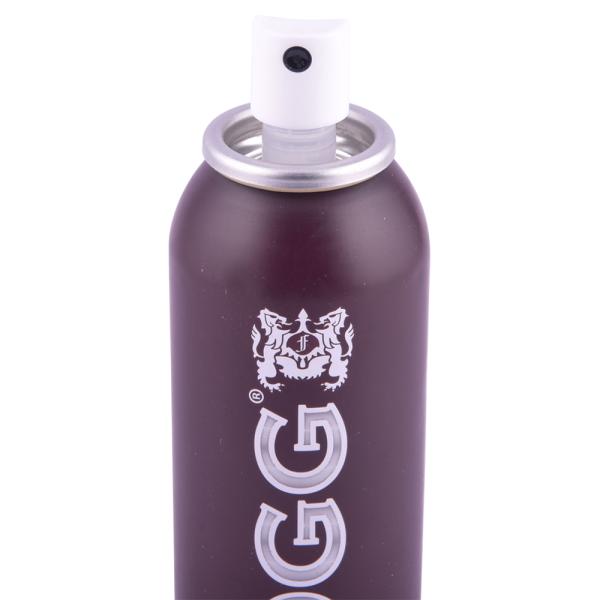 Fogg Status Fragrance Body Spray for Men 150 ml - JioMart