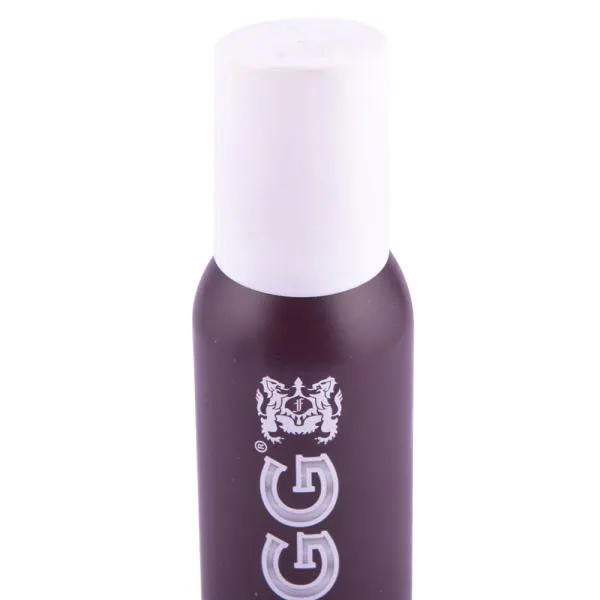Fogg Status Fragrance Body Spray for Men 150 ml - JioMart
