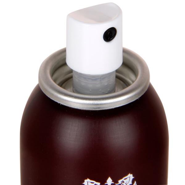 Fogg Forever Fragrance Body Spray for Men 150 ml - JioMart