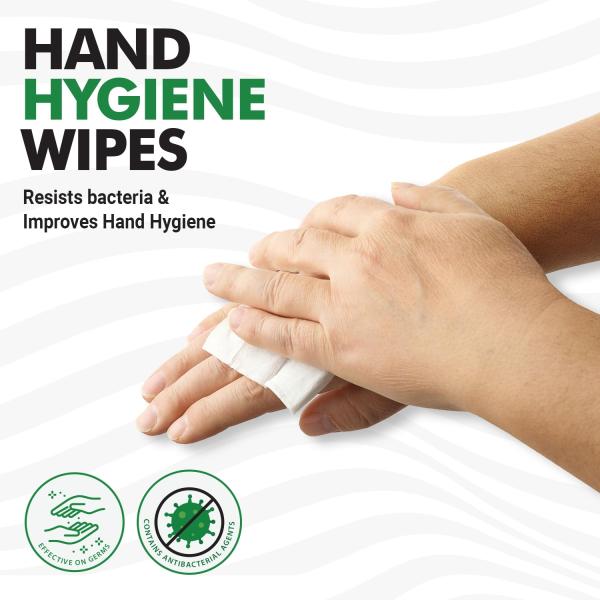 Skin Elements Hand Hygiene Wipes 30's - JioMart
