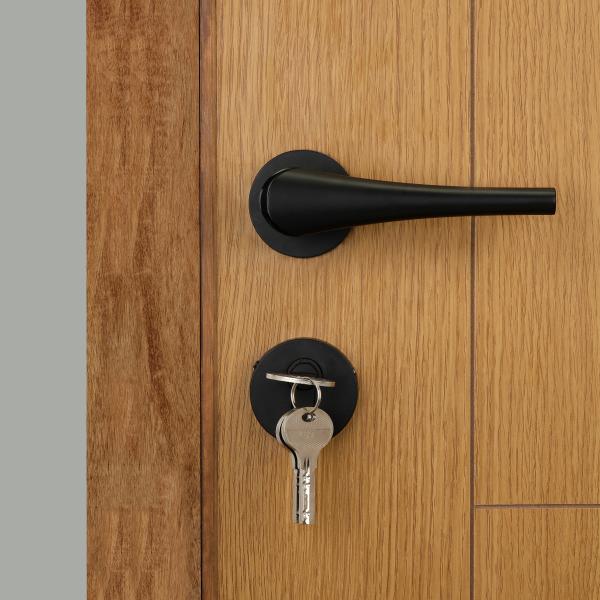 LAPO 157 Premium Mortise Door Handle Locks for All The Doors of Home ...