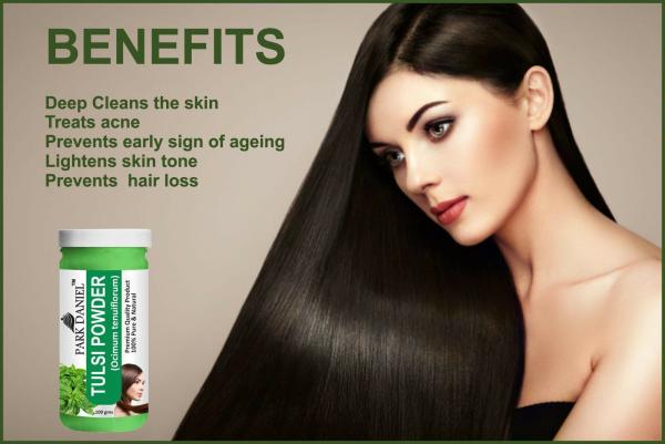 Park Daniel Premium Tulsi Powder, 100 G Each (Pack Of 3) |Hair Care ...