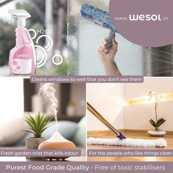 Wesol All in One Cleaner Disinfectant Air Freshener Portable Spray ...