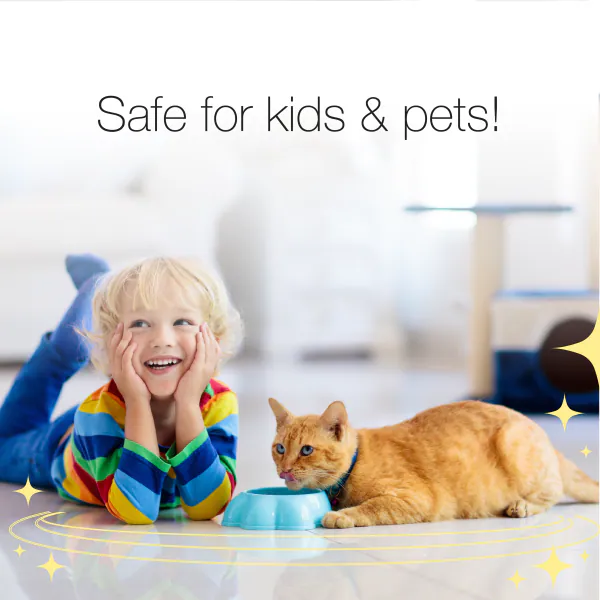 Cleevo eco - friendly powder to liquid floor cleaner| safe on all ...