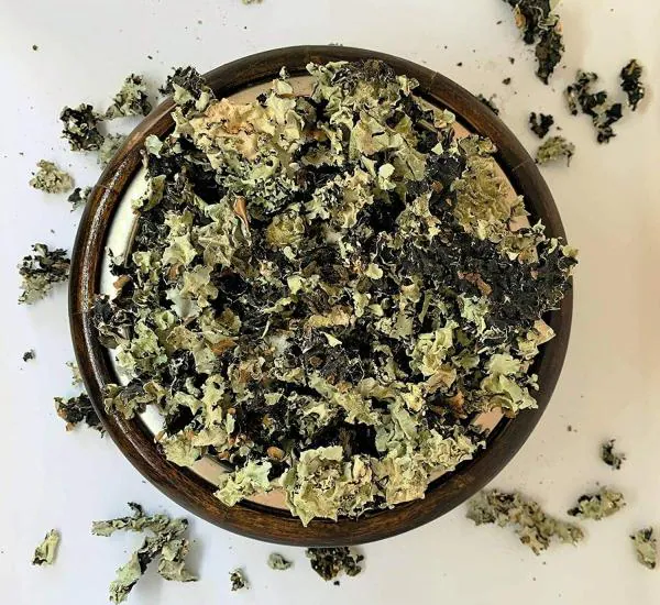 Chounk Black Stone Flower Spice (Pathar ke phool spice, Dagad Phool ...