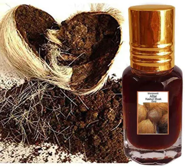Menjewell fragrances Kasturi Musk 18ml (Itra/Attar/Sandalwood Perfume ...