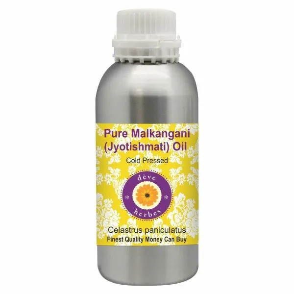 Deve Herbes Pure Malkangani (Malkangni / Jyotishmati) Oil (Celastrus ...