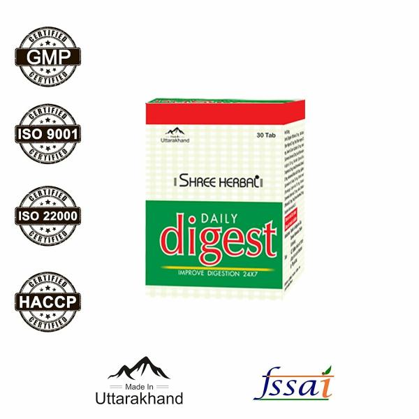 Shree Herbal Oganic Village Ayurvedic Tablets For Digestion 90 Tab ...