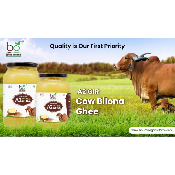 Bhumi Organic Bilona Method A2 Desi Gir Cow Ghee - 1 Ltr - JioMart