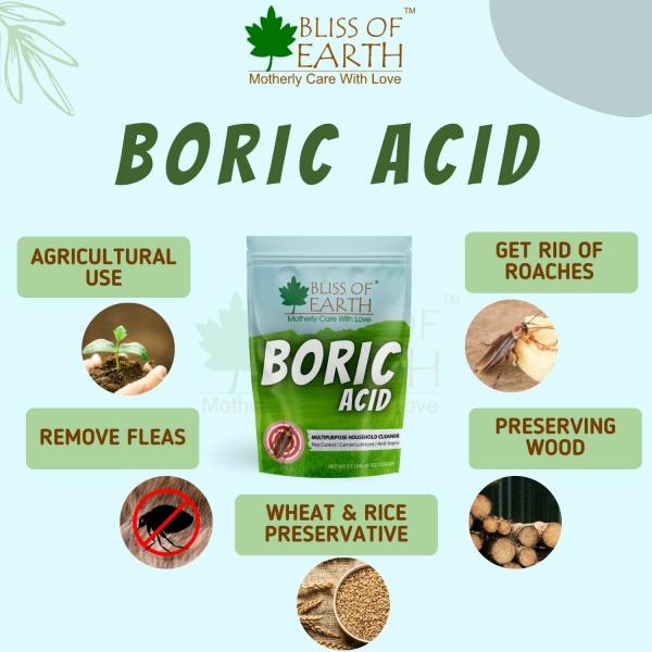 Bliss of Earth Boric Acid Powder Multipurpose kill Insects Rice ...