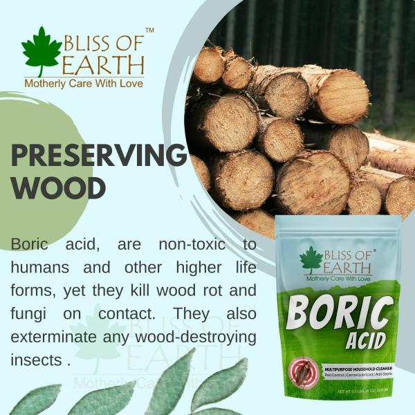 Bliss of Earth Boric Acid Powder Multipurpose kill Insects Rice ...