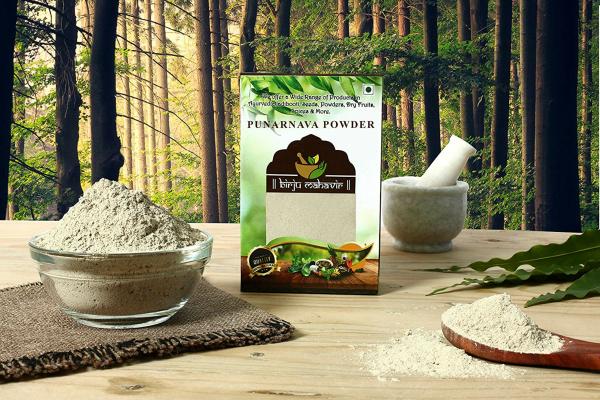 BrijBooti Punarnava Powder - Boerhaavia Diffuse - Spreading Hogweed 1 ...