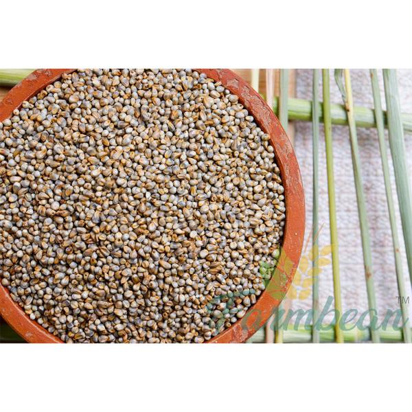 Farmbean Bajra Sabut (Pearl Millet Whole)| 5 Kg Bajra Dalia , Healty Grains Dalia & Chemical ...