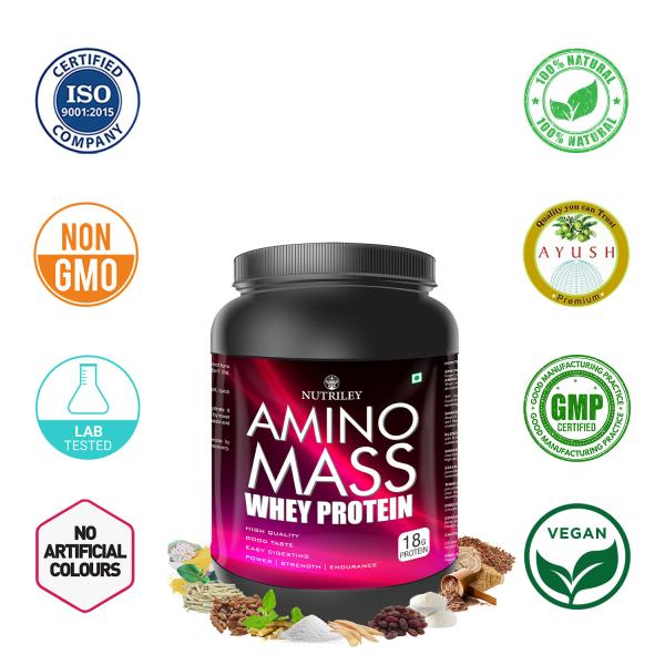 Nutriley Amino Mass Whey Protein Powder for Weight & Mass Gain ...