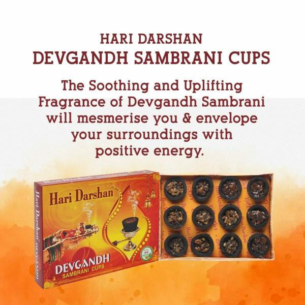 Hari Darshan Devgandh Sambrani Cups (Pack of 4, 12 Cups Each) - JioMart