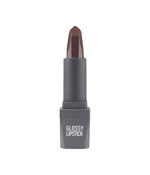 Alix Avien Paris 316 Dusty Plum Glossy Lipstick - JioMart