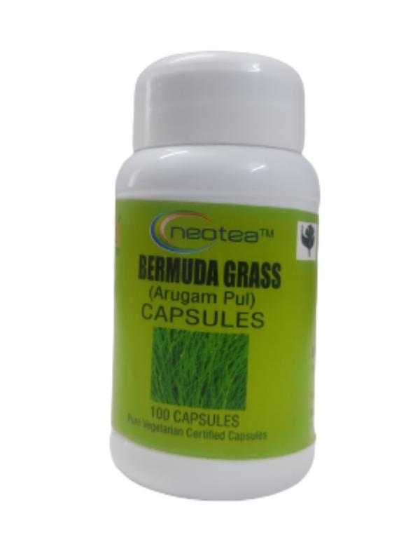 Neotea Bermuda Grass, Arugam Pul Capsules Garikehullu Doob, 500Mg - 100 ...