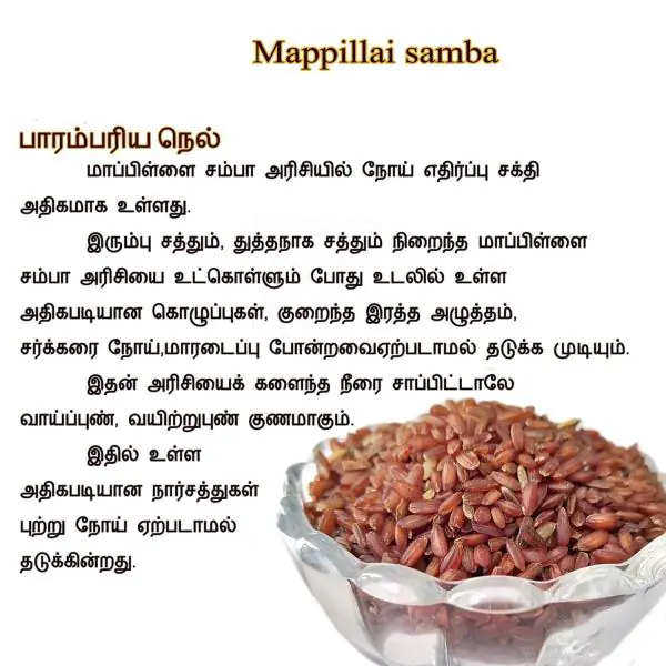 Thanjai Organics Mappillai Samba Hand Pounded Rice 1.5 Kg - JioMart