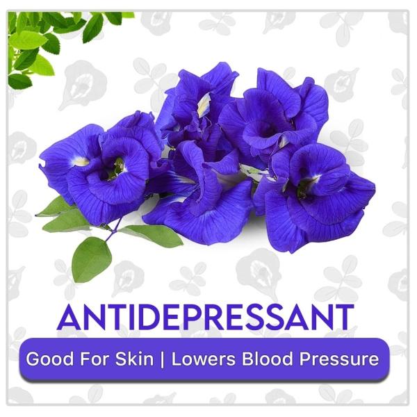 Yogan Harvest Butterfly Pea Flower Tea - 30g ( 100 Cups) | Ayurvedic ...