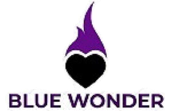 Plastic Kulfi Mould Plastic and , MultiColour (pack of 1) - JioMart