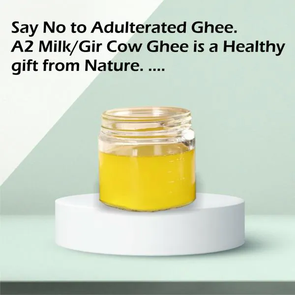 A2 Milk - Gir Cow Pure Desi Ghee - Bilona Method [500 gm] - JioMart