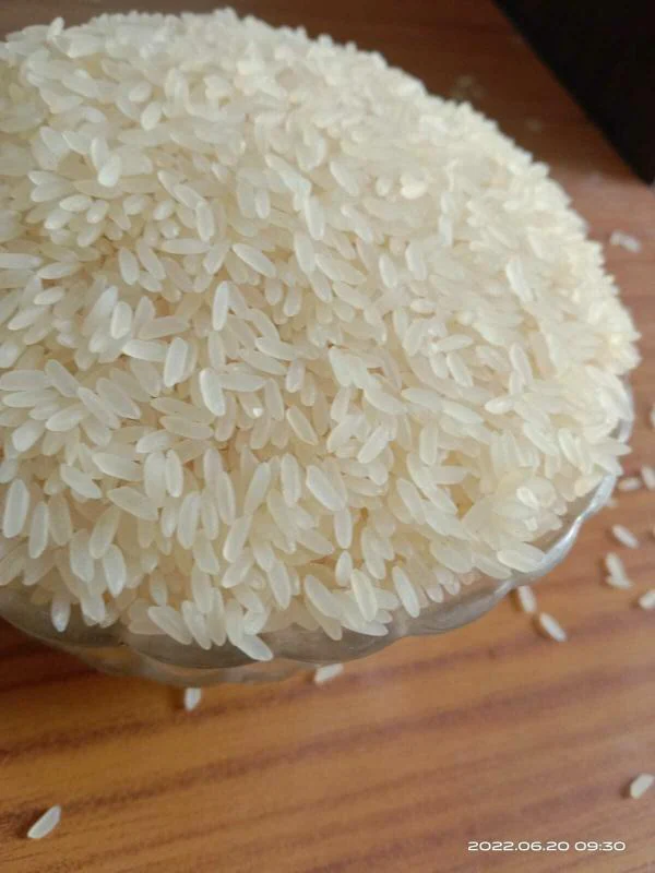 Uzhavan Unavu - Organic Traditional Thanga Samba (Common name as White ...