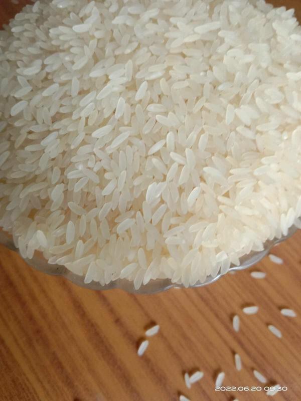 Uzhavan Unavu - Organic Traditional Thanga Samba (Common name as White ...