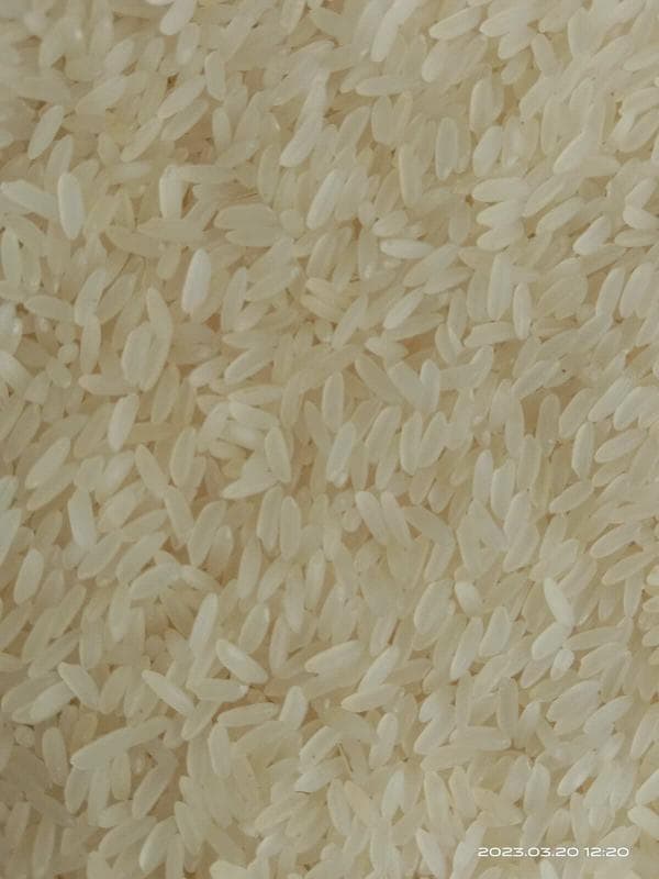 Uzhavan Unavu - Organic Traditional Thanga Samba (Common name as White ...