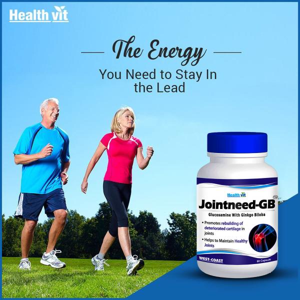 Healthvit Jointneed-GB Glucosamine 500mg, Ginkgo Biloba 50mg Supplement ...