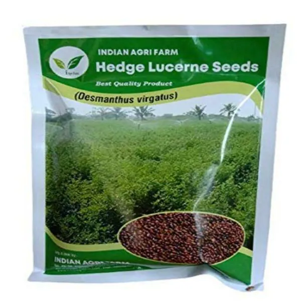 Hedge Lucerne or Velimasal or Desmanthus Fodder Seeds 1kg - JioMart