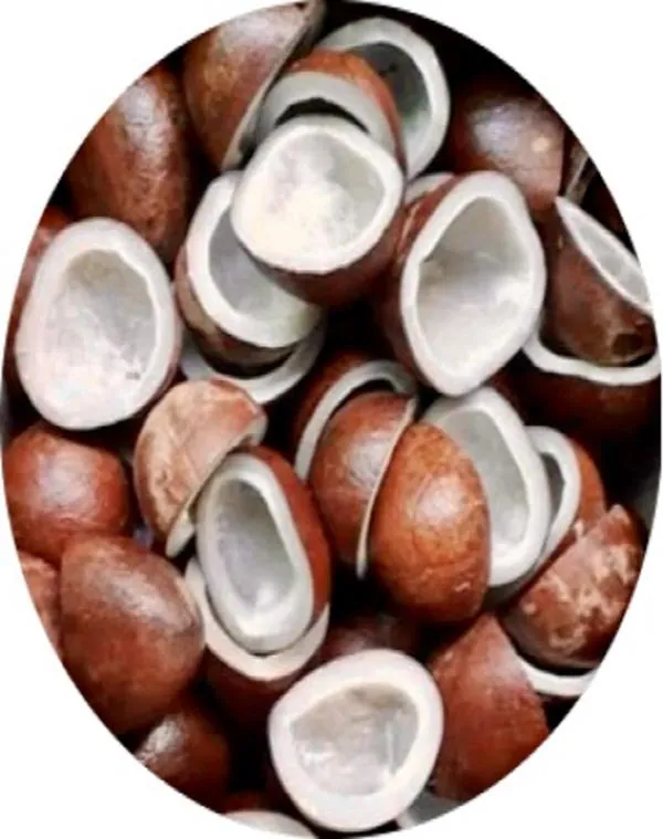 Eco Herbs India Naturally Sun Dried Coconut Copra Gota Kopra 200 Gms ...